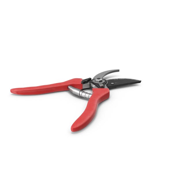 Pruning Shears – Golden Harvest